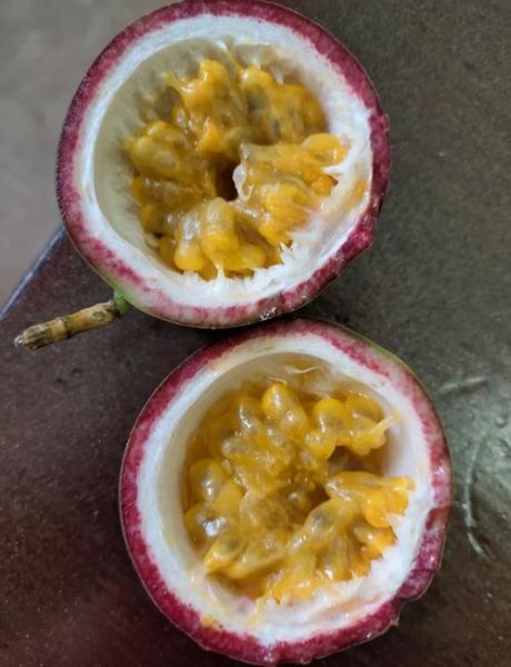 蜂蜜百香果怎么做_蜂蜜百香果做法窍门-第2张图片-山城妙识