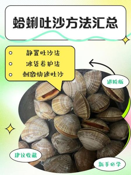 花蛤怎么吐沙干净_花蛤的家常做法步骤-第1张图片-山城妙识