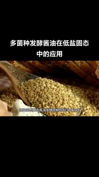 土法自制酱油怎么做_家庭酱油发酵配方-第3张图片-山城妙识