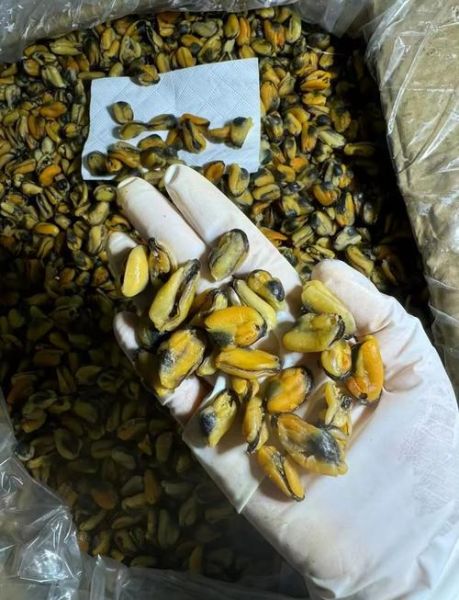 淡菜干怎么泡发_淡菜干的家常做法-第1张图片-山城妙识 淡菜干怎么泡发_淡菜干的家常做法-第1张图片-山城妙识