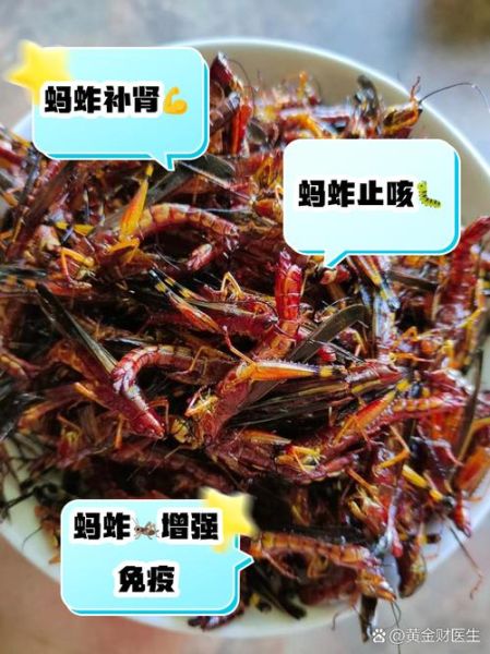 油炸蚂蚱怎么做_油炸蚂蚱要焯水吗-第2张图片-山城妙识