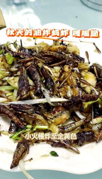 油炸蚂蚱怎么做_油炸蚂蚱要焯水吗-第3张图片-山城妙识