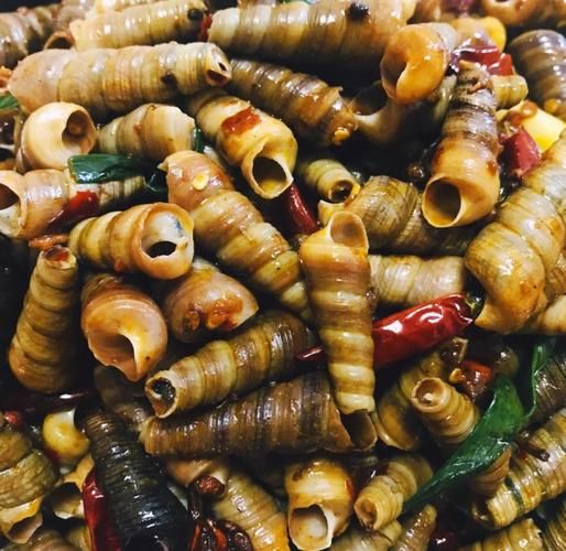 钉螺怎么做好吃_钉螺的家常做法-第2张图片-山城妙识