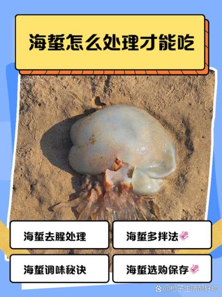 海蜇怎么清洗_海蜇的做法大全-第2张图片-山城妙识