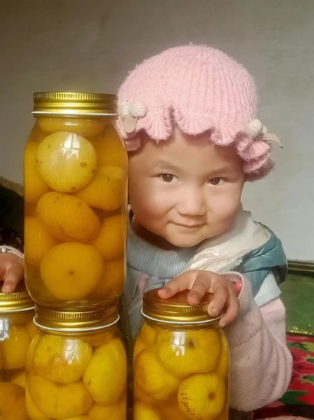 无花果酱怎么做_无花果酱能保存多久-第2张图片-山城妙识