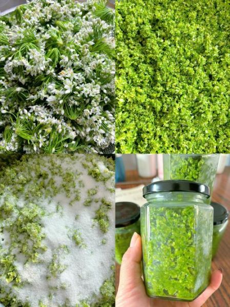 韭菜花酱怎么做_韭菜花酱保存多久-第1张图片-山城妙识