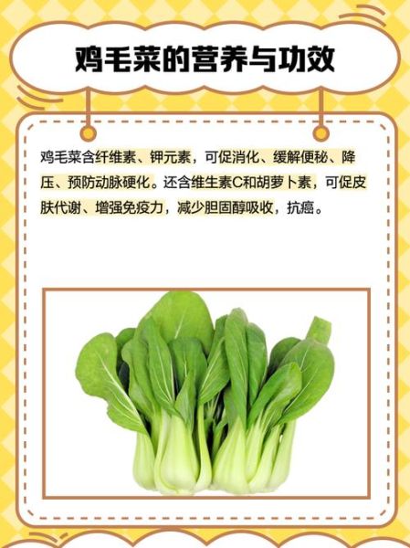 鸡毛菜怎么炒好吃_鸡毛菜焯水几分钟-第1张图片-山城妙识