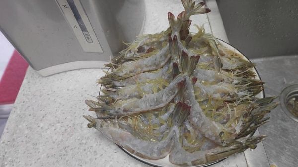 蒜蓉开背虾怎么做_蒜蓉开背虾用蒸还是烤-第3张图片-山城妙识