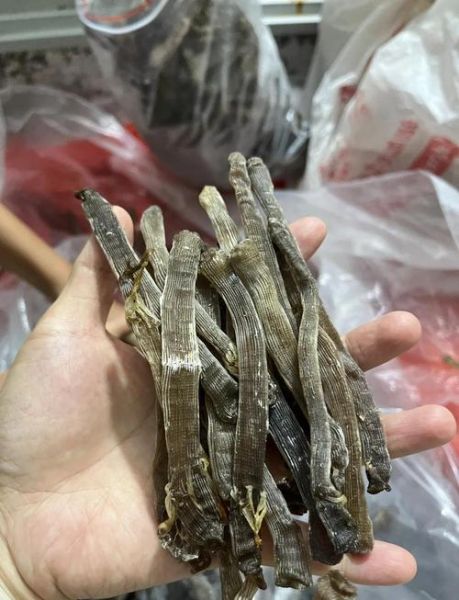 沙虫怎么做好吃_沙虫干煲汤做法-第3张图片-山城妙识