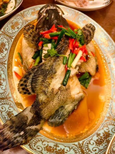 石斑鱼怎么清蒸_石斑鱼清蒸几分钟最好-第1张图片-山城妙识 石斑鱼怎么清蒸_石斑鱼清蒸几分钟最好-第1张图片-山城妙识