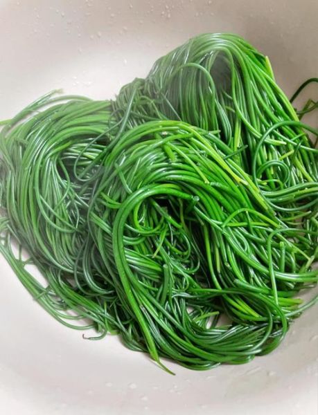 凉拌沙葱怎么做_凉拌沙葱需要焯水吗-第2张图片-山城妙识 凉拌沙葱怎么做_凉拌沙葱需要焯水吗-第2张图片-山城妙识