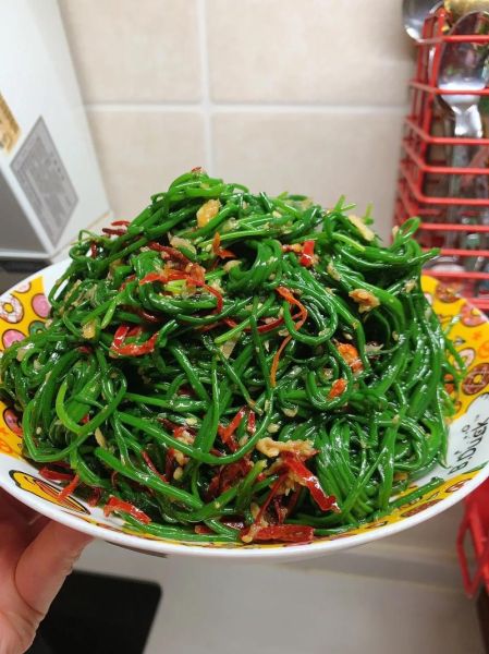 凉拌沙葱怎么做_凉拌沙葱需要焯水吗-第1张图片-山城妙识 凉拌沙葱怎么做_凉拌沙葱需要焯水吗-第1张图片-山城妙识