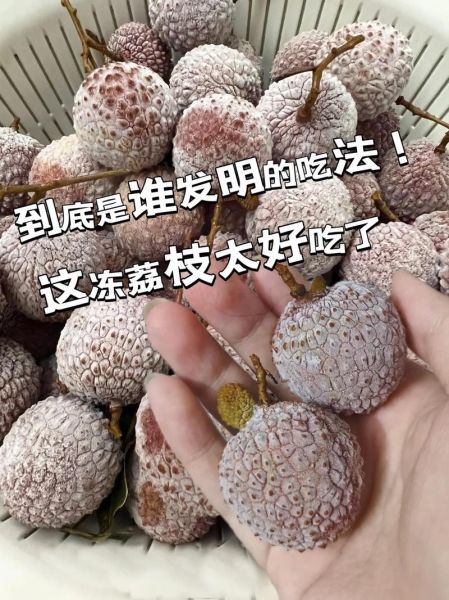 冻荔枝怎么做_冻荔枝保存多久-第2张图片-山城妙识
