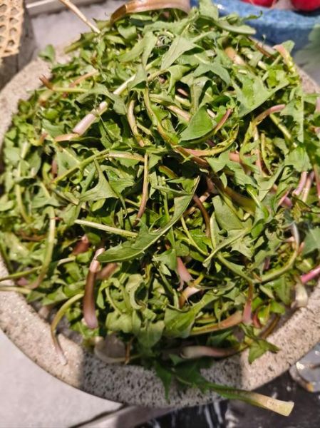 山野菜怎么做好吃_山野菜的做法大全-第3张图片-山城妙识