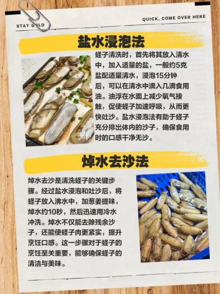 蛏子怎么清洗_蛏子的家常做法-第2张图片-山城妙识