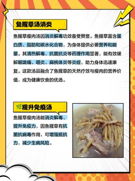 广东鱼腥草煲汤的做法_鱼腥草煲汤有什么功效-第1张图片-山城妙识