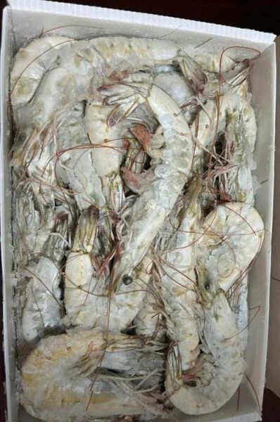 水煮虾怎么煮才鲜嫩_水煮虾需要焯水吗-第1张图片-山城妙识