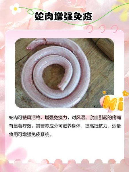 蛇肉怎么做好吃_蛇肉的做法大全-第1张图片-山城妙识