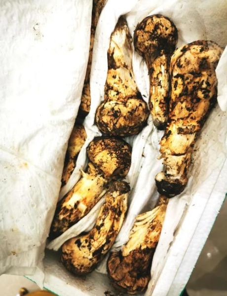 新鲜松茸怎么清洗_新鲜松茸怎么做好吃-第2张图片-山城妙识