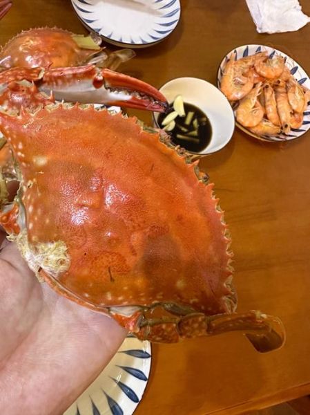 梭子蟹怎么做好吃_清蒸梭子蟹的做法步骤-第3张图片-山城妙识 梭子蟹怎么做好吃_清蒸梭子蟹的做法步骤-第3张图片-山城妙识