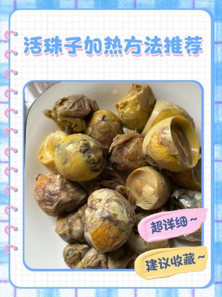 活珠子怎么煮_活珠子的正确吃法-第1张图片-山城妙识