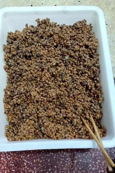 河北西瓜豆豉怎么做_西瓜豆豉制作步骤-第2张图片-山城妙识 河北西瓜豆豉怎么做_西瓜豆豉制作步骤-第2张图片-山城妙识