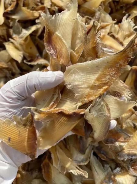 干鱼翅怎么泡发_干鱼翅的做法大全-第2张图片-山城妙识 干鱼翅怎么泡发_干鱼翅的做法大全-第2张图片-山城妙识