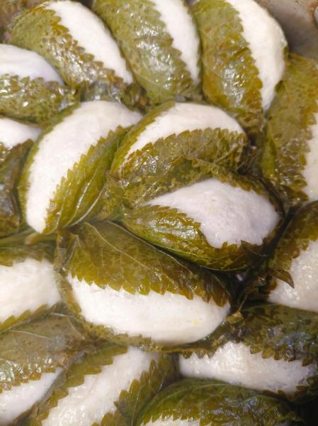 粘耗子怎么做_粘耗子为什么粘不住-第1张图片-山城妙识