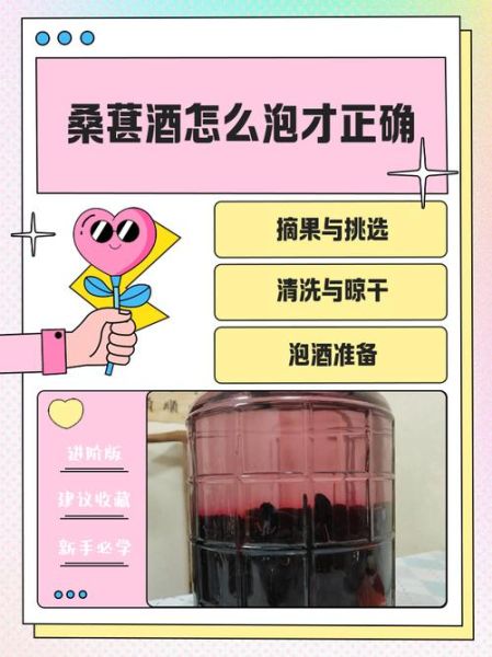 桑葚酒的做法_桑葚酒怎么泡才更甜-第2张图片-山城妙识