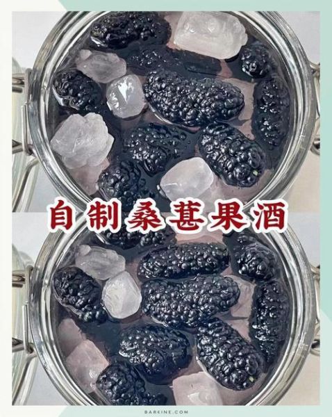 桑葚酒的做法_桑葚酒怎么泡才更甜-第3张图片-山城妙识