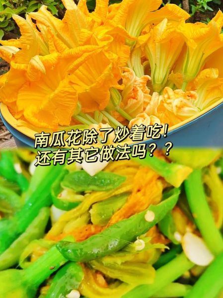 南瓜花炒鸡蛋怎么做_南瓜花炒鸡蛋要焯水吗-第3张图片-山城妙识