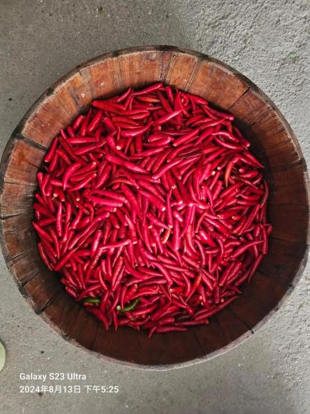 剁辣椒怎么做_家庭自制剁辣椒保存多久-第2张图片-山城妙识