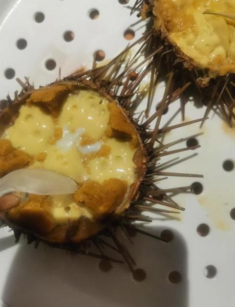 海胆蒸蛋怎么做_海胆蒸蛋的正宗做法-第1张图片-山城妙识