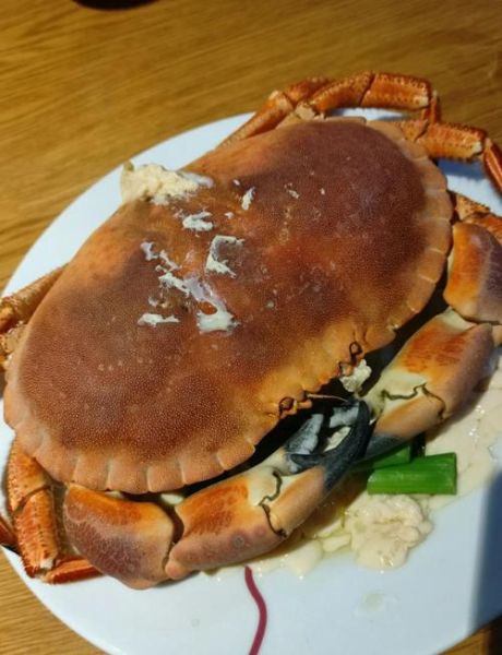 面包蟹怎么蒸好吃_面包蟹蒸多久才入味-第1张图片-山城妙识