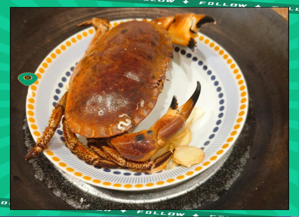 面包蟹怎么蒸好吃_面包蟹蒸多久才入味-第3张图片-山城妙识