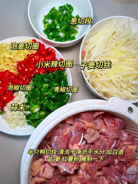 鸭的做法大全_鸭子怎么做好吃-第2张图片-山城妙识