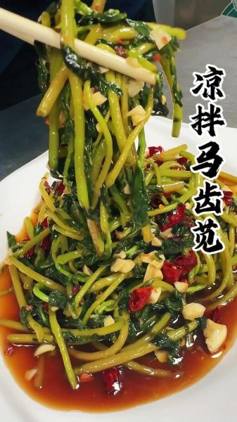 马齿苋怎么做好吃_马齿苋的家常做法大全-第1张图片-山城妙识
