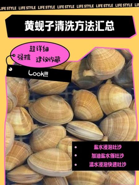 黄蚬子怎么清洗_黄蚬子怎么吐沙干净-第1张图片-山城妙识 黄蚬子怎么清洗_黄蚬子怎么吐沙干净-第1张图片-山城妙识