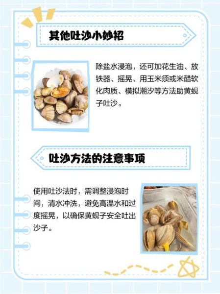 黄蚬子怎么清洗_黄蚬子怎么吐沙干净-第2张图片-山城妙识 黄蚬子怎么清洗_黄蚬子怎么吐沙干净-第2张图片-山城妙识