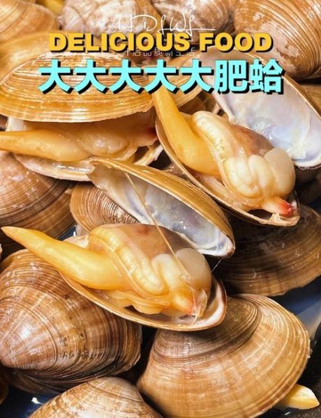 黄蚬子怎么清洗_黄蚬子怎么吐沙干净-第3张图片-山城妙识 黄蚬子怎么清洗_黄蚬子怎么吐沙干净-第3张图片-山城妙识