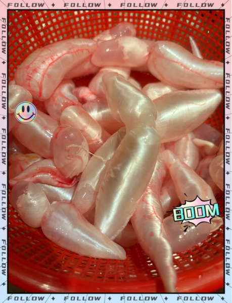 鱼泡怎么做好吃_鱼泡的家常做法大全-第2张图片-山城妙识 鱼泡怎么做好吃_鱼泡的家常做法大全-第2张图片-山城妙识