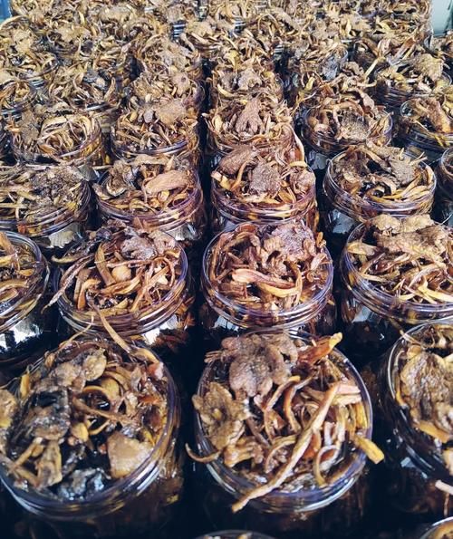 油鸡枞菌怎么保存_油鸡枞菌的做法步骤-第1张图片-山城妙识