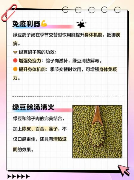 鸽子绿豆汤的做法_鸽子绿豆汤的功效与禁忌-第2张图片-山城妙识
