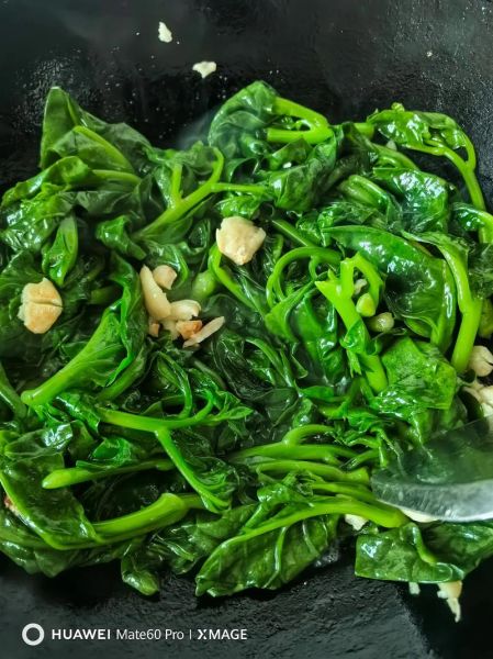 木耳菜怎么炒好吃_木耳菜要不要焯水-第3张图片-山城妙识