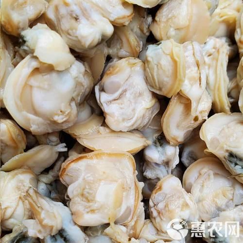 冷冻蚬子肉怎么做好吃_冷冻蚬子肉的做法大全-第3张图片-山城妙识