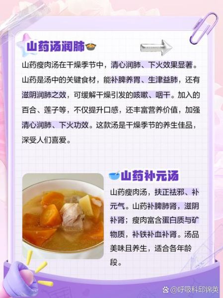 山药瘦肉粥怎么做_山药瘦肉粥的功效与作用-第1张图片-山城妙识