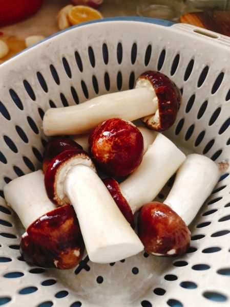 松茸菇怎么做好吃_松茸菇的做法大全-第2张图片-山城妙识