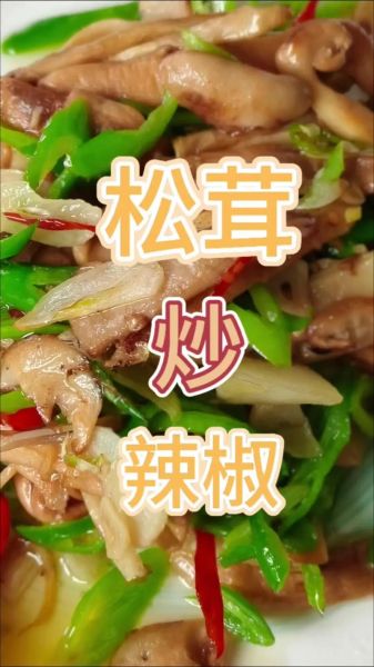 松茸菇怎么做好吃_松茸菇的做法大全-第1张图片-山城妙识