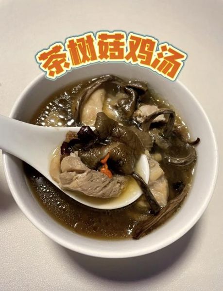 茶树菇炖鸡怎么做好吃_茶树菇炖鸡的做法窍门-第1张图片-山城妙识