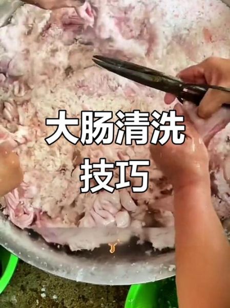 肥肠怎么清洗才干净_肥肠的家常做法-第2张图片-山城妙识